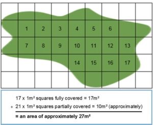 How To Measure For A New Lawn | Hallstone | Blog