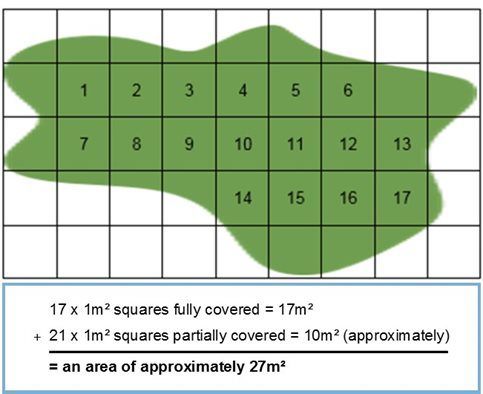 How To Measure For A New Lawn | Hallstone | Blog