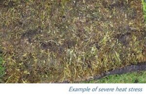 What Is Sod Heating? | Hallstone | Blog