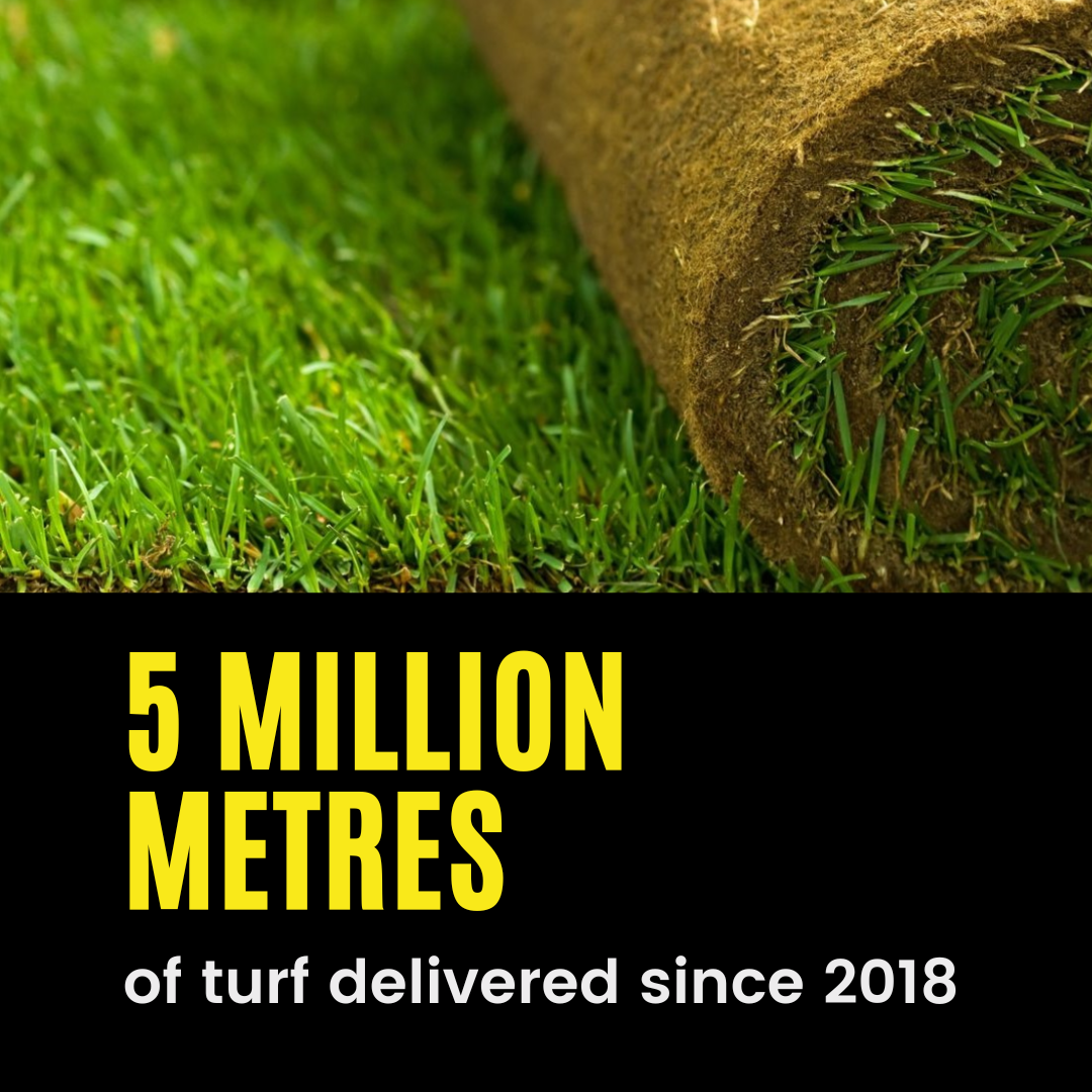 Hallstone | About Us | Hallstone Developments Limited